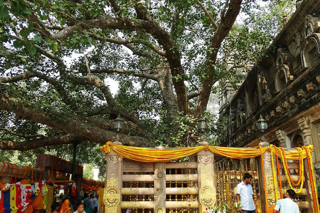 Top Places to visit in Bodh Gaya - Things to Do, Sightseeing (2025)