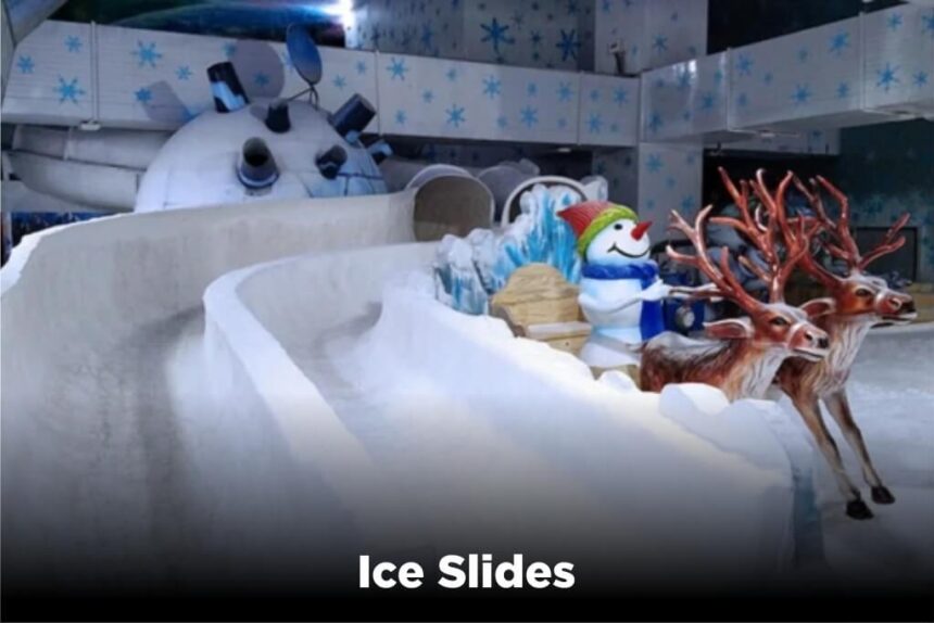 Snow World Ahmedabad 2026: Ticket Price, Timings, Rides & Visitor Guide