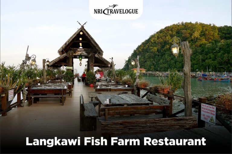 7 Best Restaurants & Cafes for Lunch & Dinner in Langkawi (2026)