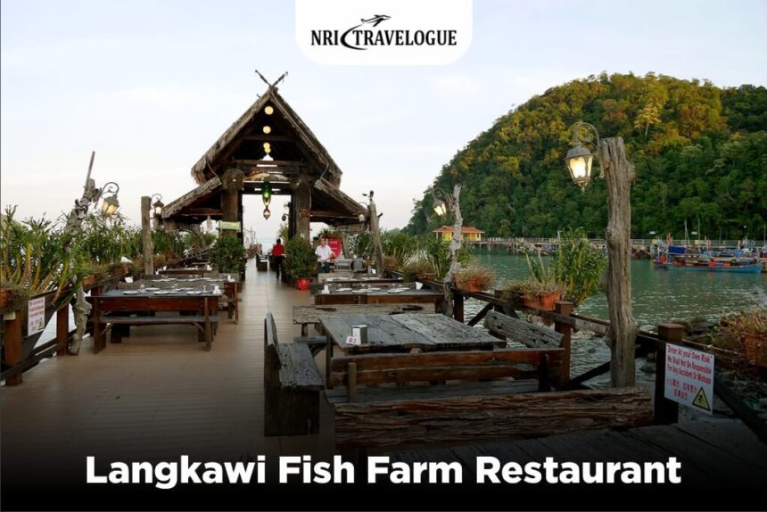 7 Best Restaurants & Cafes for Lunch & Dinner in Langkawi (2026)