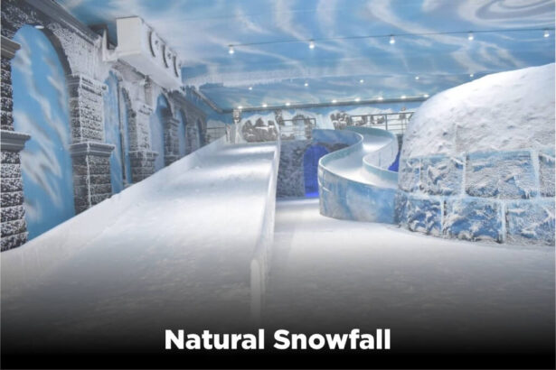 Snow World Ahmedabad 2026: Ticket Price, Timings, Rides & Visitor Guide