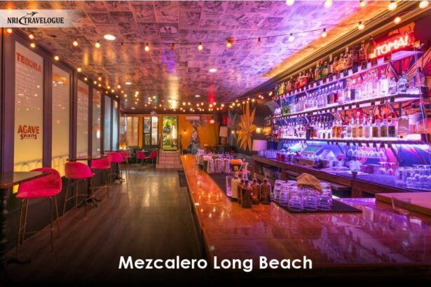 Discover The Top Nightclubs in Long Beach, California