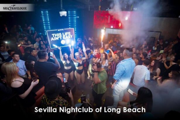 Discover The Top Nightclubs in Long Beach, California