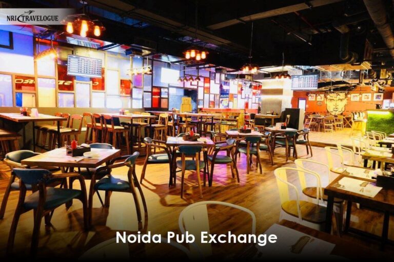 Top Nightclubs & Pubs in Noida: Timings, Location and Cost