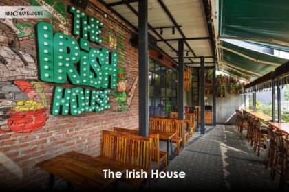 Top Nightclubs & Pubs in Noida: Timings, Location and Cost