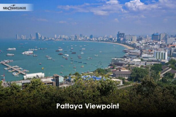 Must-Visit Places in Pattaya for First-Time Travelers