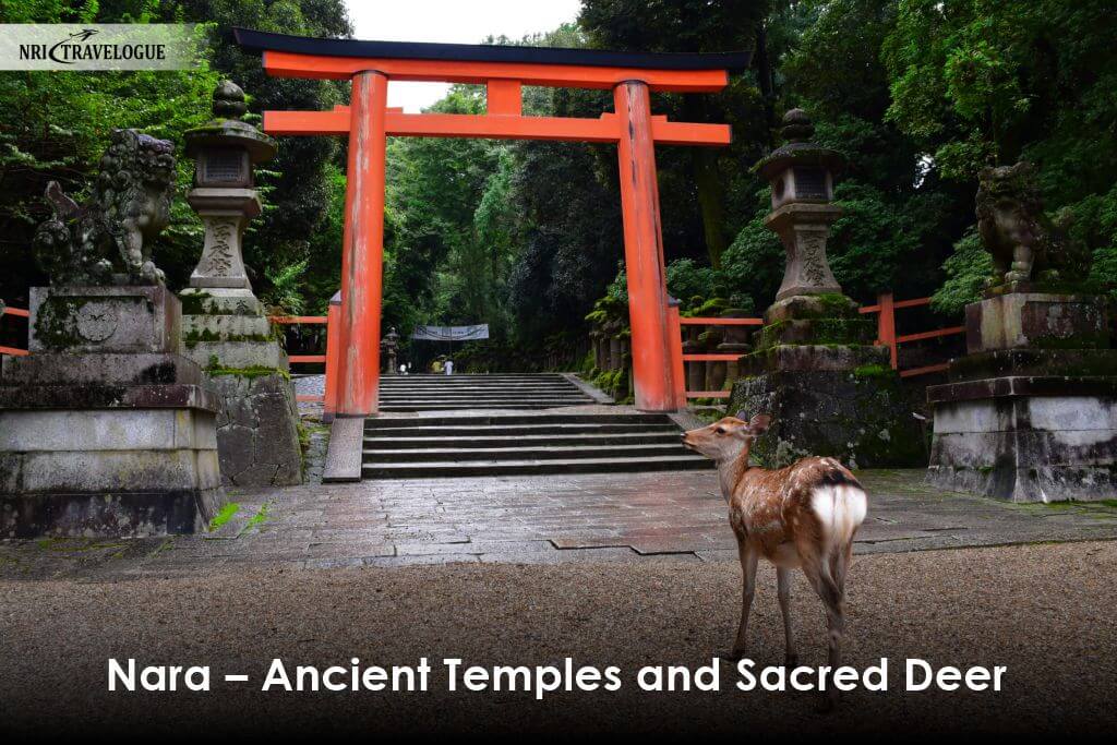 Top 10 Must-See Places to Visit in Japan