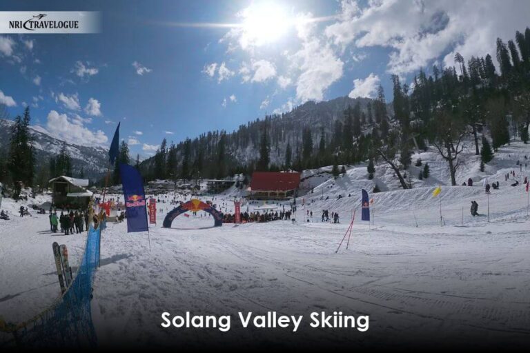 Best Ski Resorts in India to Visit This Winter