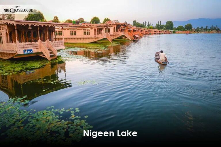 Top 10 Must-Visit Places in Srinagar for 2025