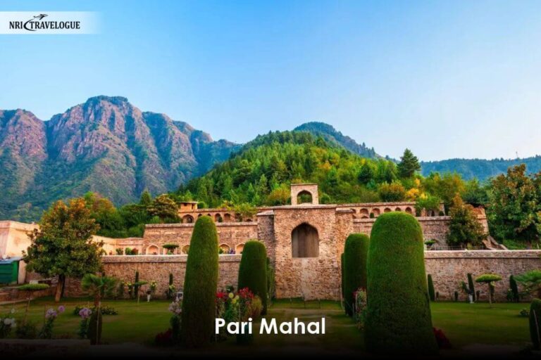 Top 10 Must-Visit Places in Srinagar for 2025