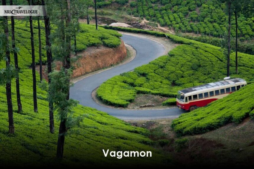 15 Best Places to Visit in Kerala | The Complete Guide