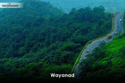 15 Best Places to Visit in Kerala | The Complete Guide