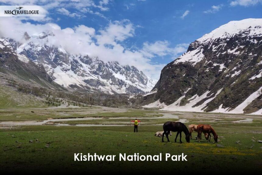 Top 5 National Parks in Jammu and Kashmir (2025