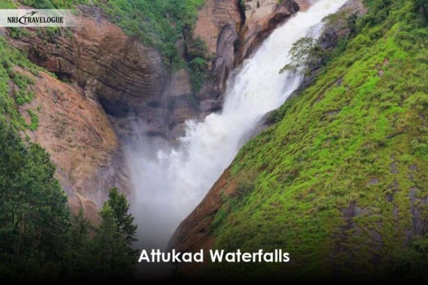 Top 10 Must-See Places in Munnar for 2025