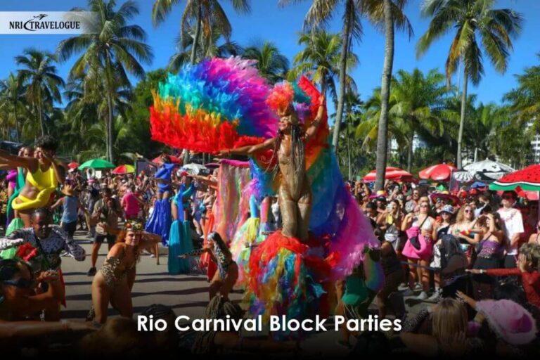 Carnival Rio De Janeiro Brazil: All You Need to Know Before Go