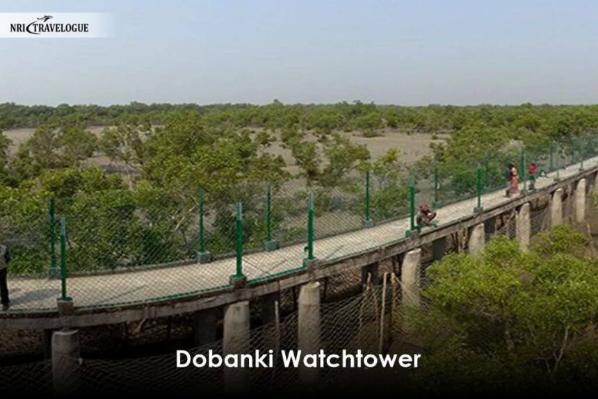 A Comprehensive Guide to Sundarban River Safaris