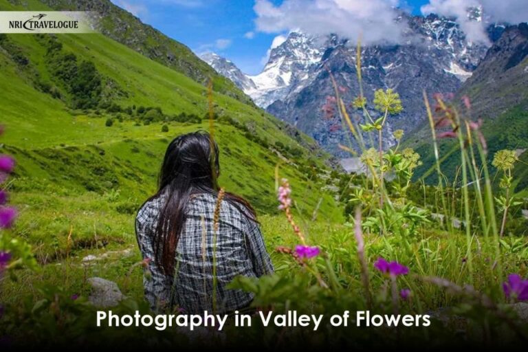 Explore the Beauty of Valley of Flowers - Complete Travel Guide