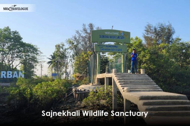 A Comprehensive Guide to Sundarban River Safaris