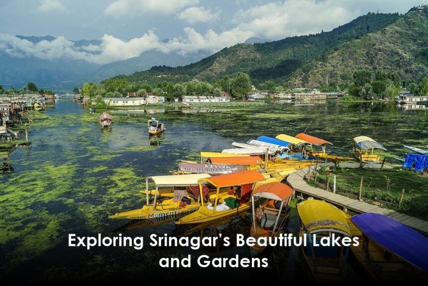 3-Day Srinagar Itinerary: How to Spend 3 Days in Srinagar