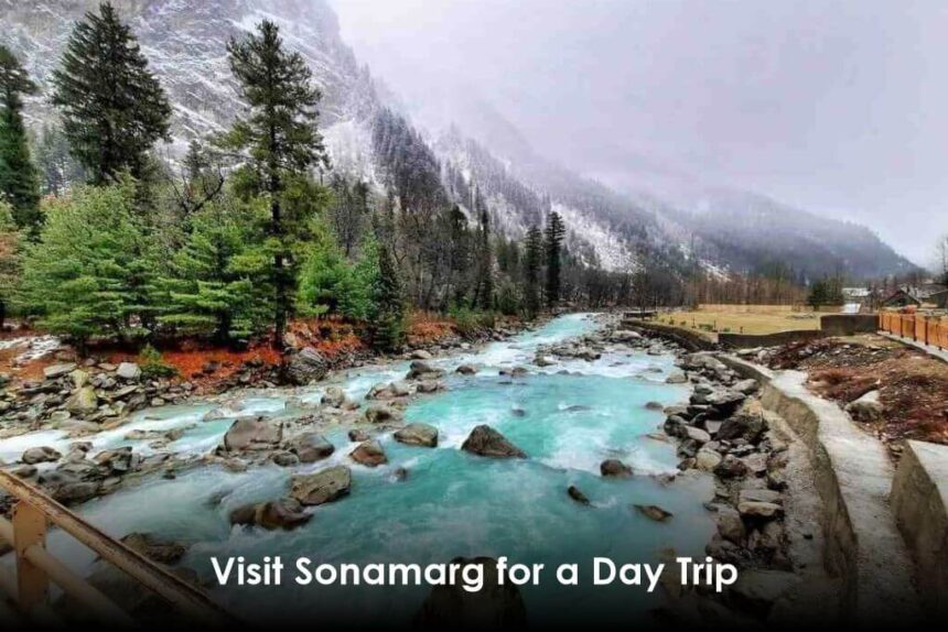 3-Day Srinagar Itinerary: How to Spend 3 Days in Srinagar