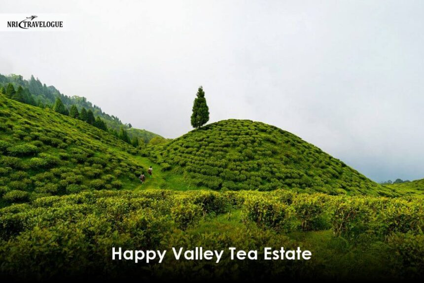 Famous Tourist Points in Darjeeling: Complete Travel Guide