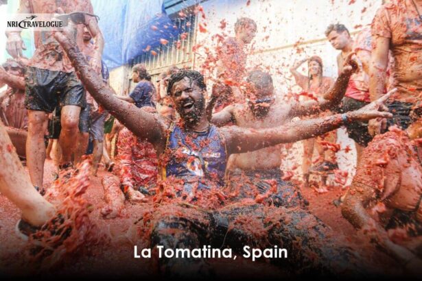 Top 7 Most Popular Festivals in the World You Can't Miss (2025