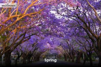 Australia Best Travel Seasons 10 Days Itinerary