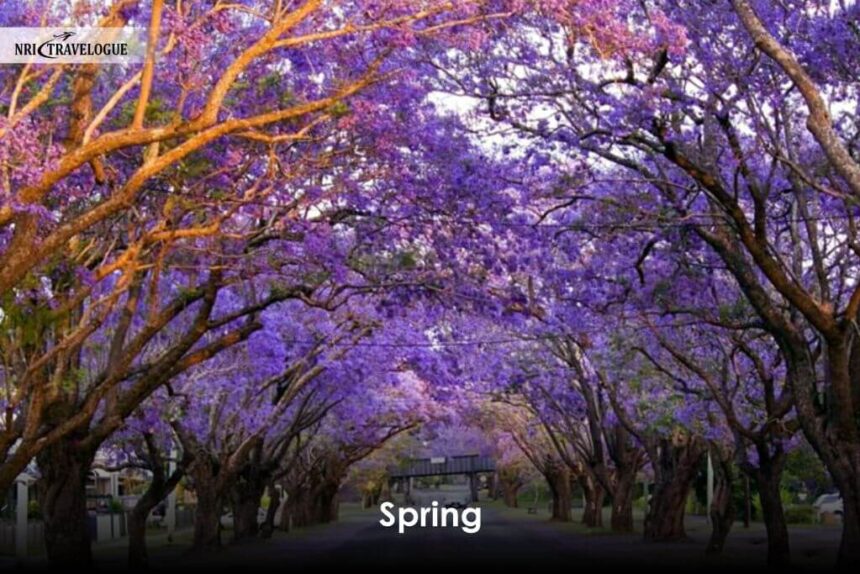 Australia Best Travel Seasons 10 Days Itinerary