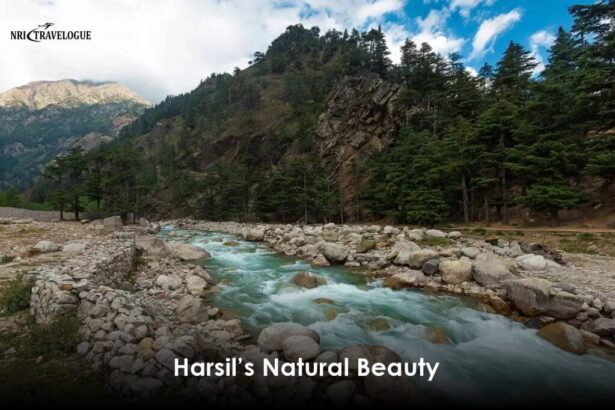 How to Reach Kalp Kedar Temple: A Complete Travel Itinerary