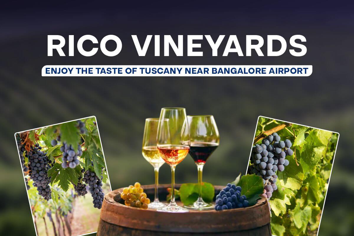 Rico Vineyards: Enjoy the Taste of Tuscany Near Bangalore Airport