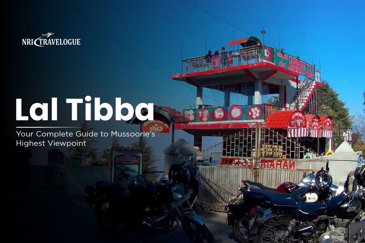 Lal Tibba: Your Complete Guide to Mussoorie’s Highest Viewpoint