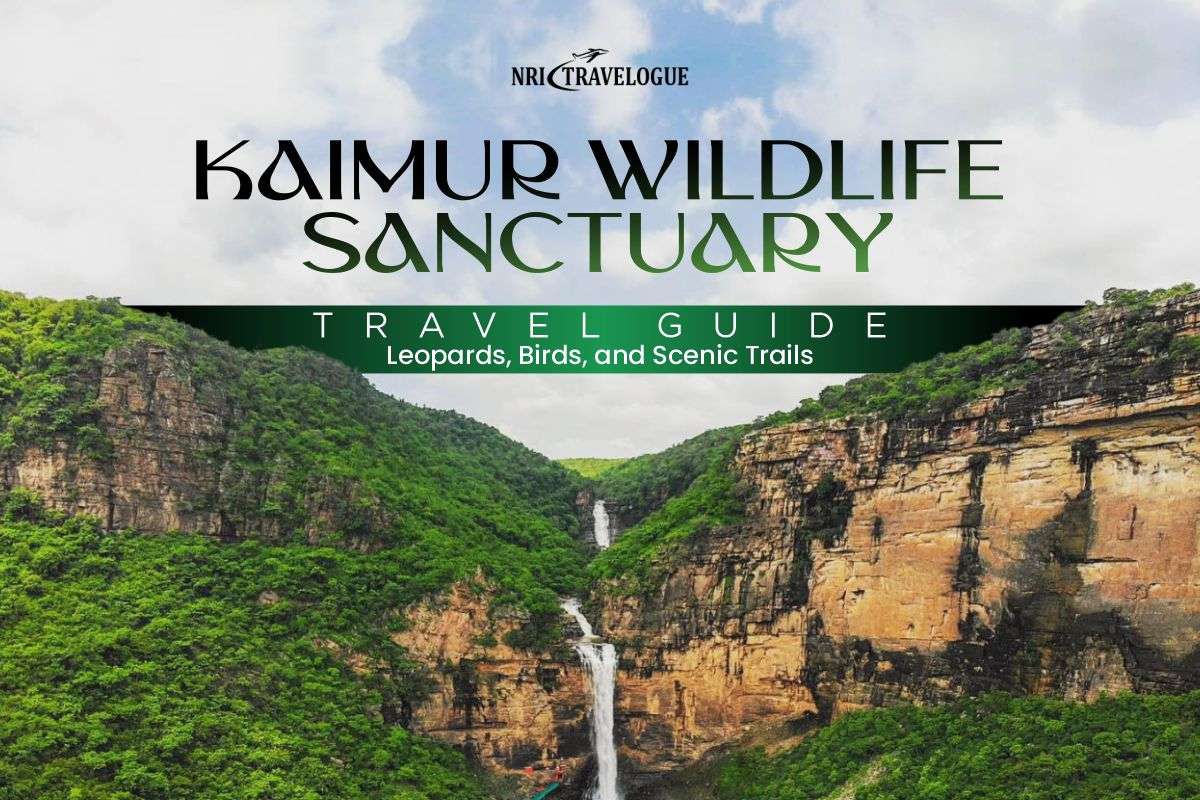 Kaimur Wildlife Sanctuary Travel Guide: Leopards, Birds, and Scenic ...