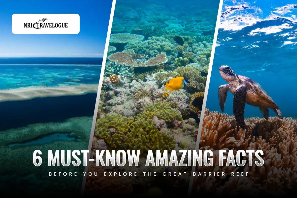 6 Must-Know Amazing Facts Before You Explore the Great Barrier Reef